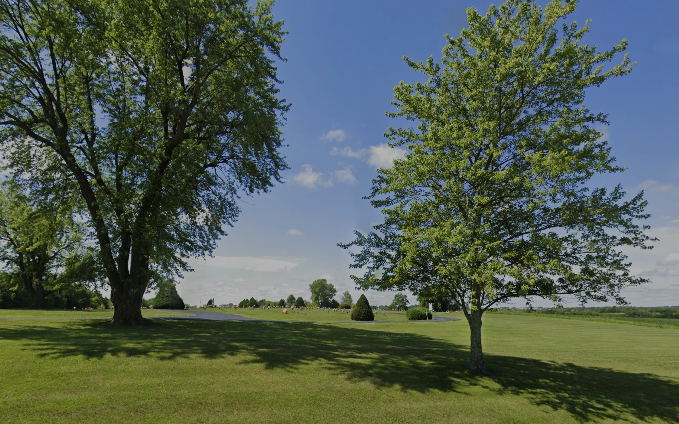 Search burial records / Cameron Memory Gardens Cemetery.